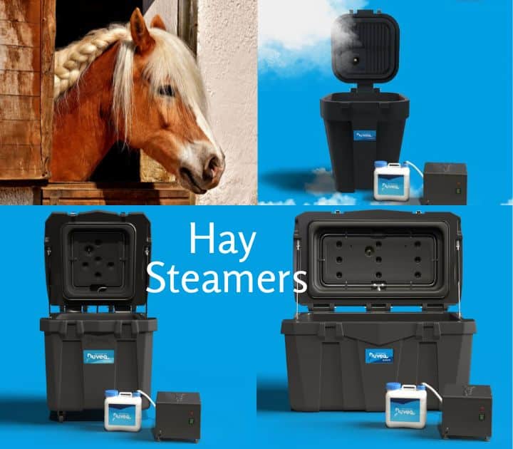 The Benefits Of Hay Steamers